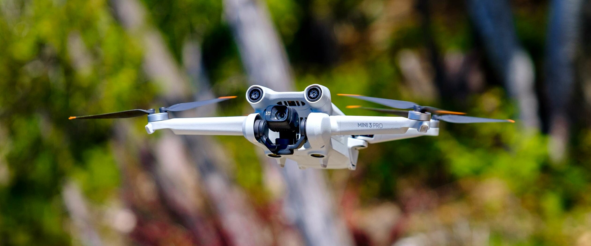 Drone Inspections - Giles Homes Inspection Services